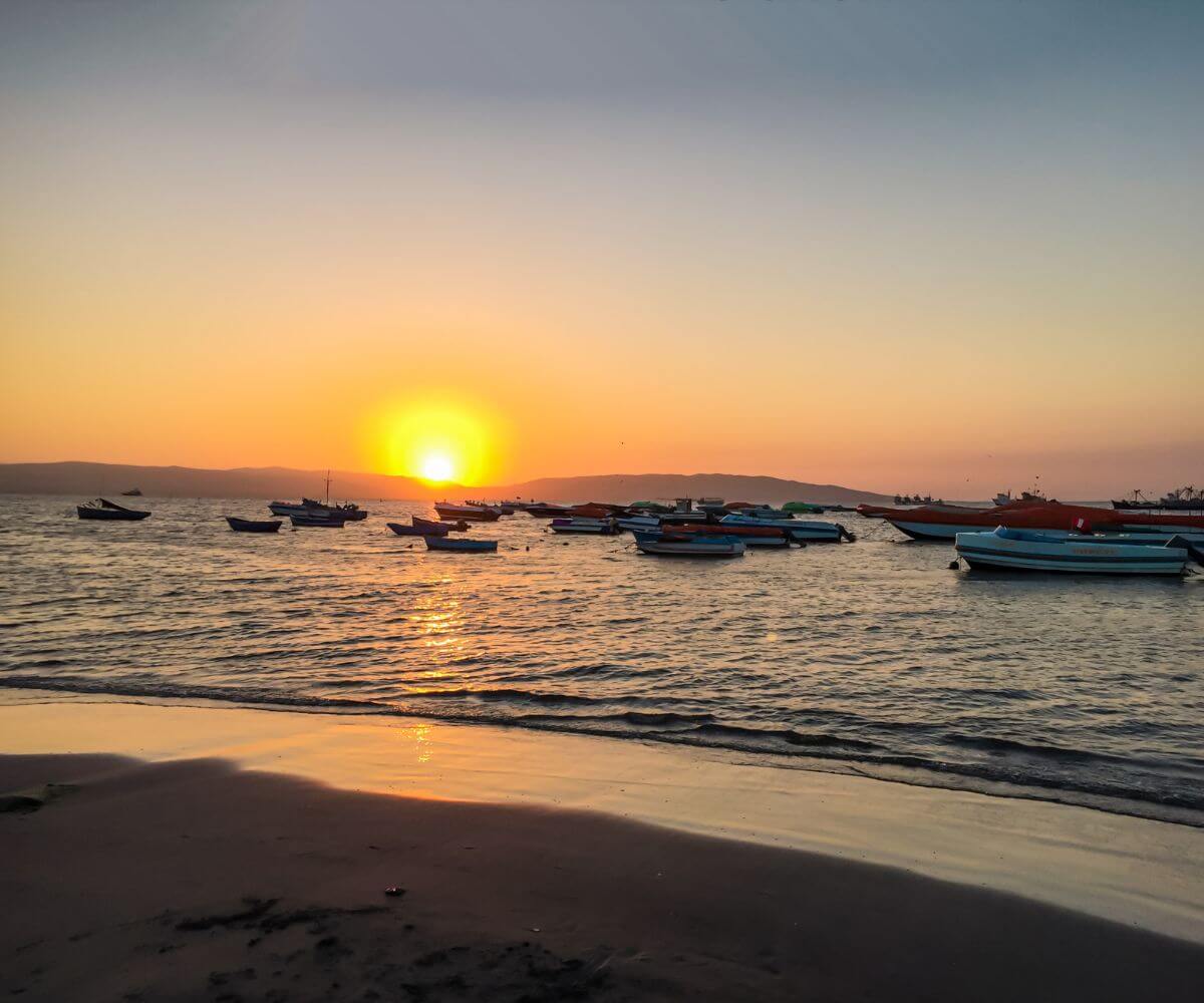 Ballestas Islands: Complete Guide on How to Visit Them from Paracas ...