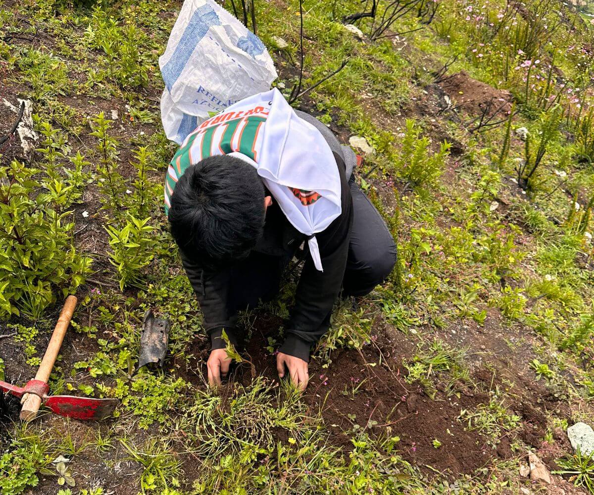 Reforestación en Piscacucho: un compromiso con el turismo sostenible ...